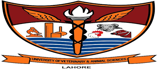 (CVAS) College of Veterinary and Animal Sciences - Admissions, Fee ...