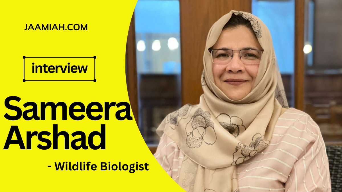 Project & Supply Chain Management Archives - Jaamiah.com